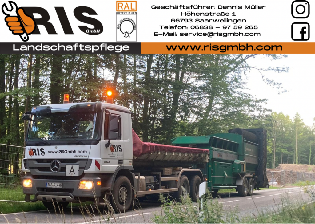 Startseite - RIS GmbH